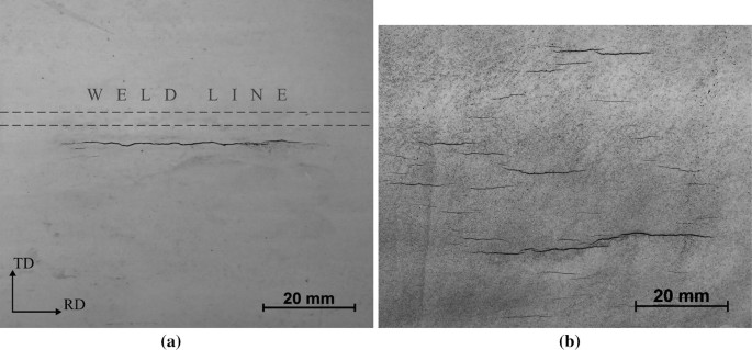 trva Instance Segmentation Model by traval
