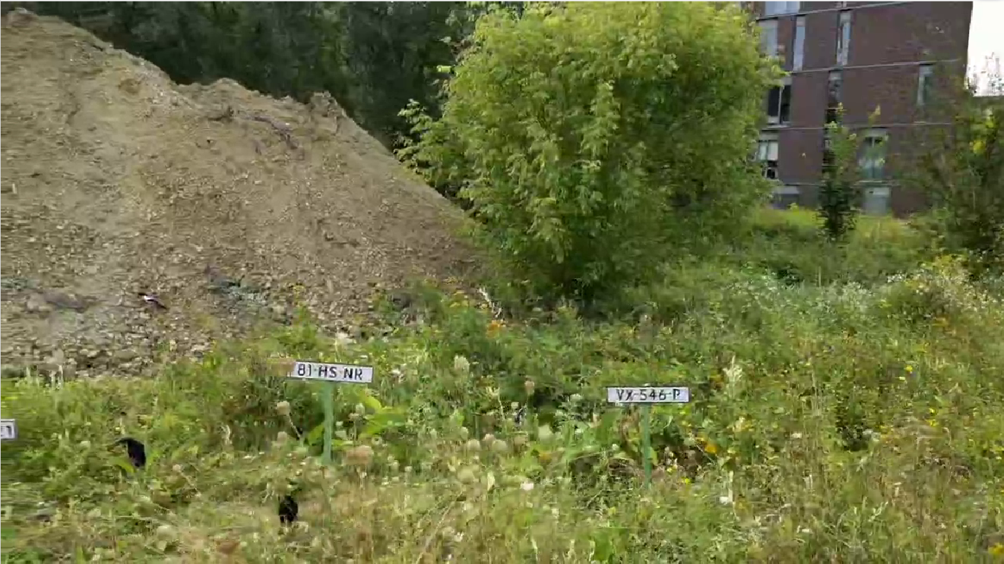 Birds Object Detection Dataset By Vitro2