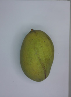 brian work - Roboflow Universe