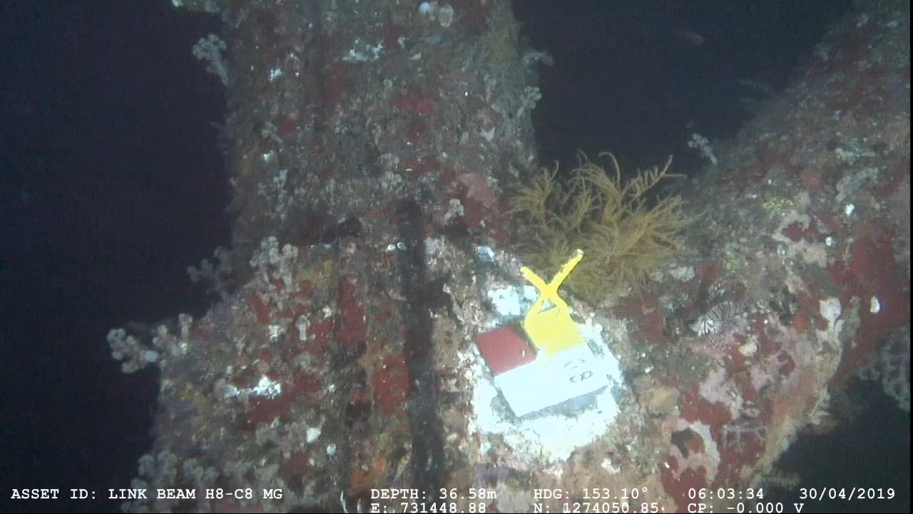 Underwater Object Detection Object Detection Dataset V10 2023 03 08