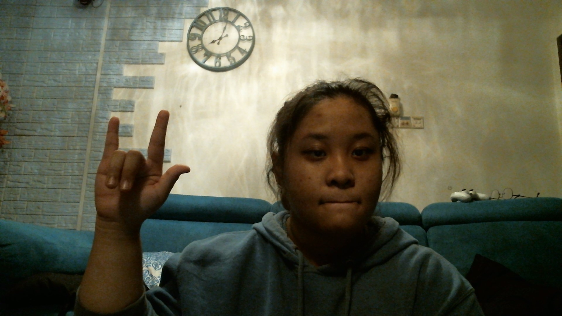 Signs Object Detection Dataset by Sign Language