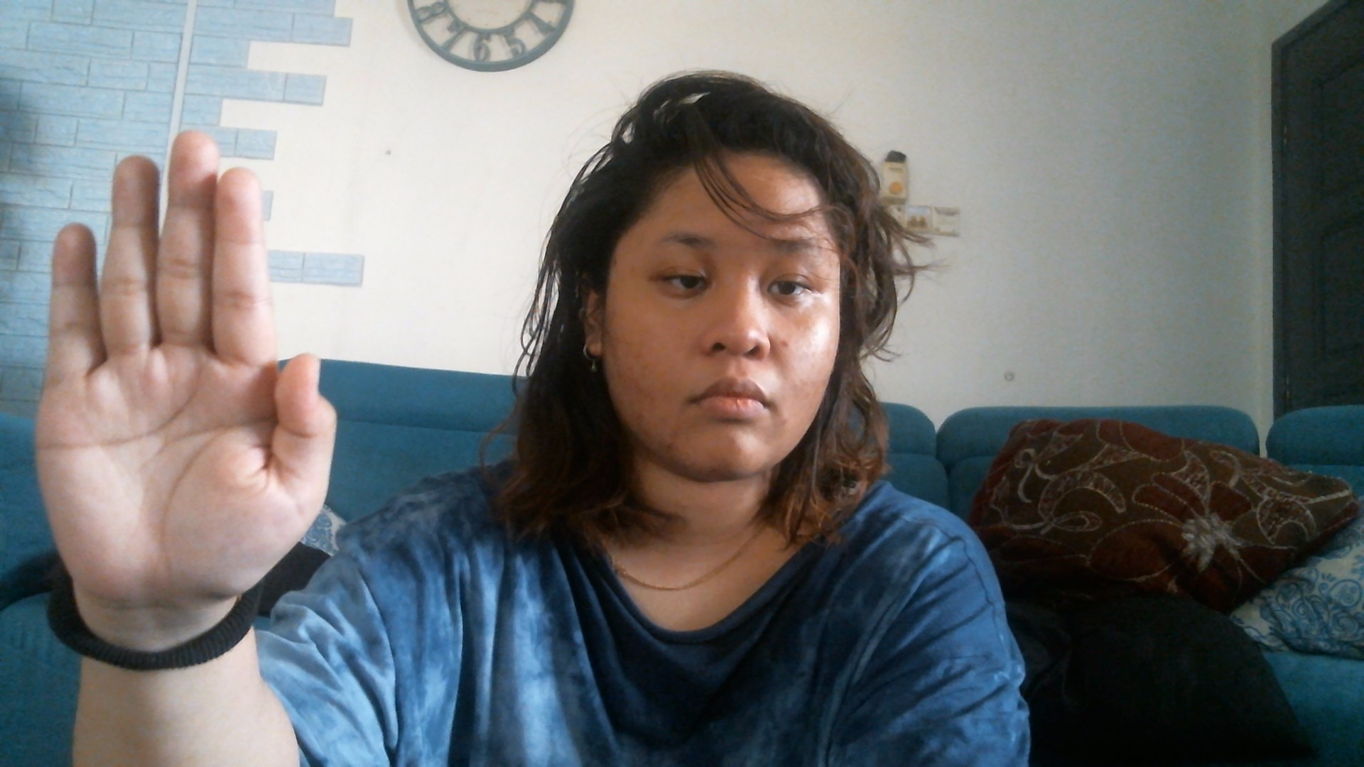 Signs Object Detection Dataset by Sign Language