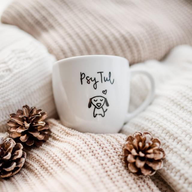 Cup Detection Object Detection Dataset By Rubenron