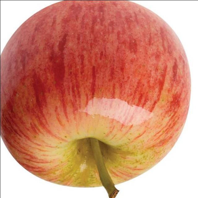 How to Use the Vegetables and fruits Object Detection API