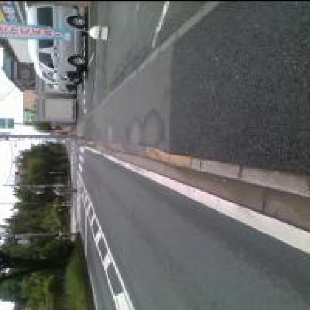 Sidew Instance Segmentation Dataset and Pre-Trained Model by philwing