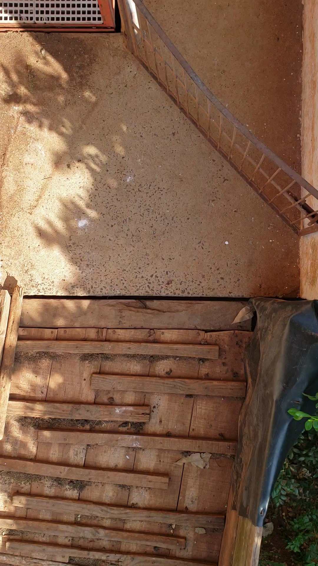 Pig Counter Object Detection Dataset by a