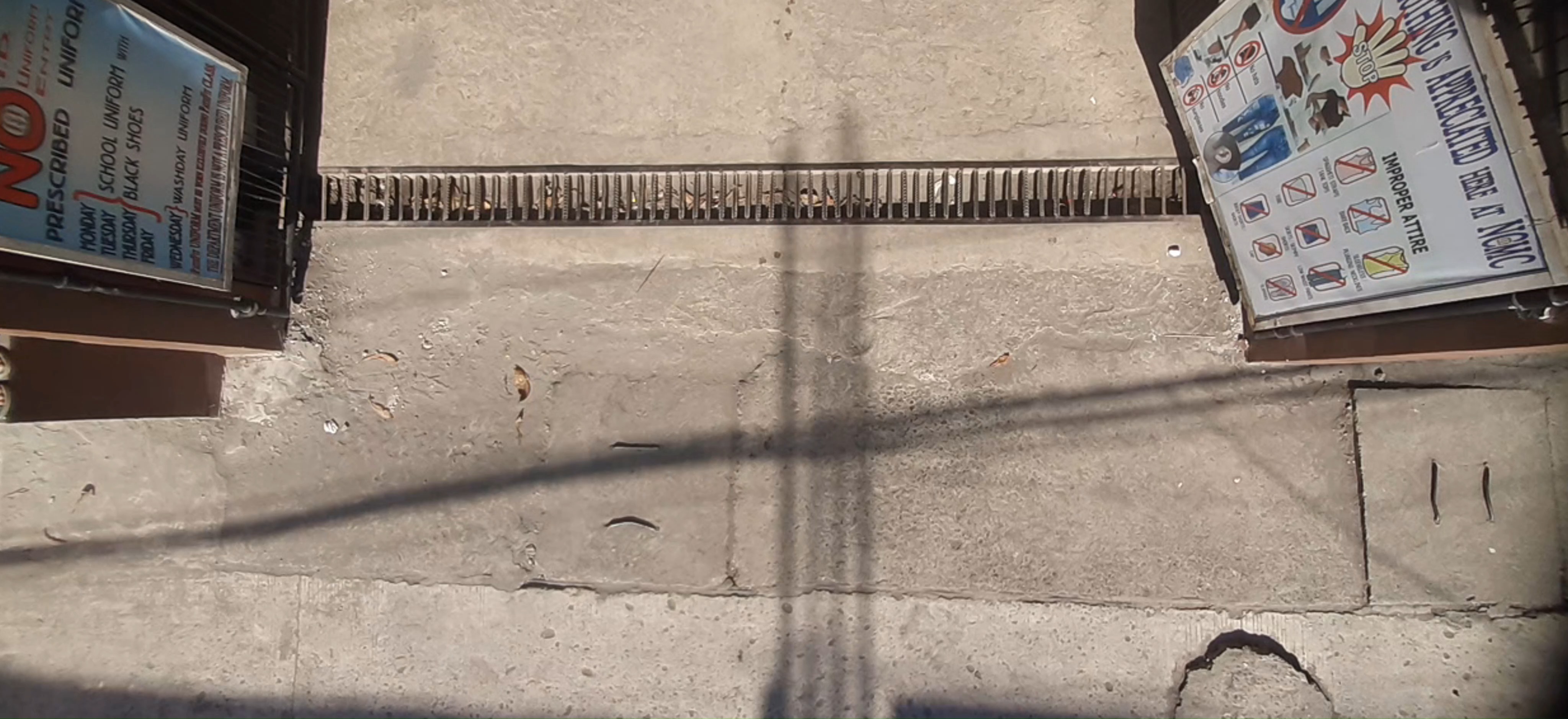 yolov8-seg Instance Segmentation Model (v1, 2024-04-11 5:08pm) by yolov8seg