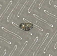 classify Classification Dataset by Classify