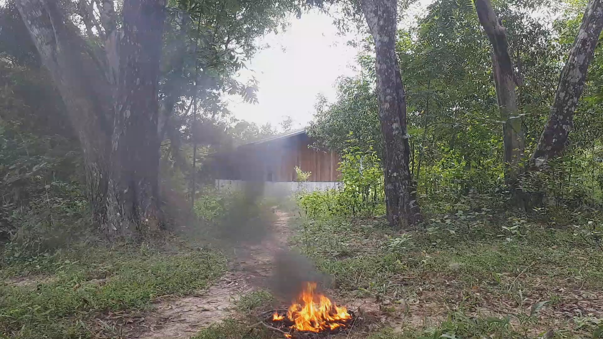 Fire Detect Object Detection Dataset By Firework