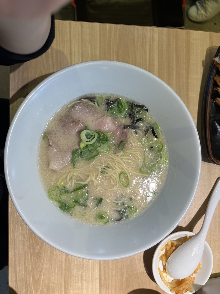 ramen_segmentation Instance Segmentation Dataset and Pre-Trained Model by Ramendemo2