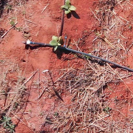 Tobacco Object Detection Dataset And Pre Trained Model By University Of State Maringa