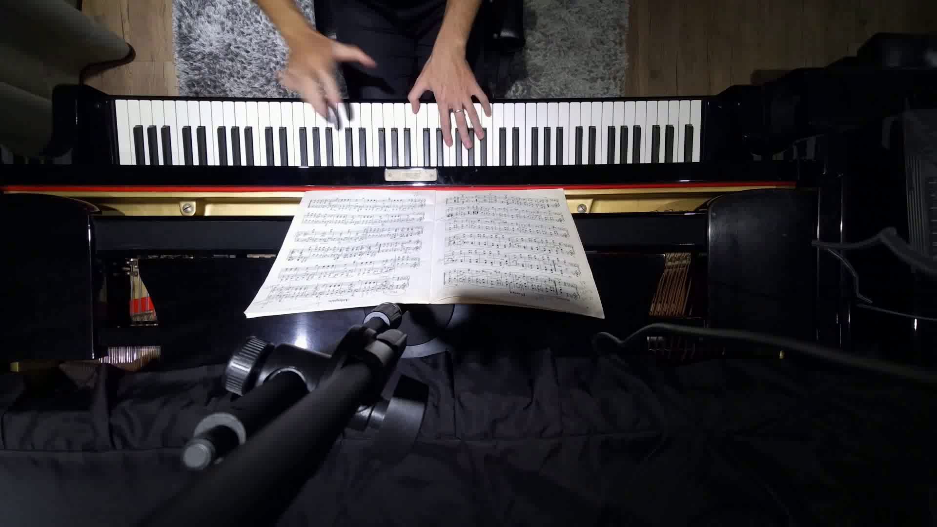 MIS_hands_piano Instance Segmentation Dataset and Pre-Trained Model by MIS