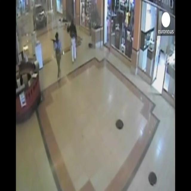 Weapon Detection Object Detection Dataset and Pre-Trained Model by Chamith Lahiru