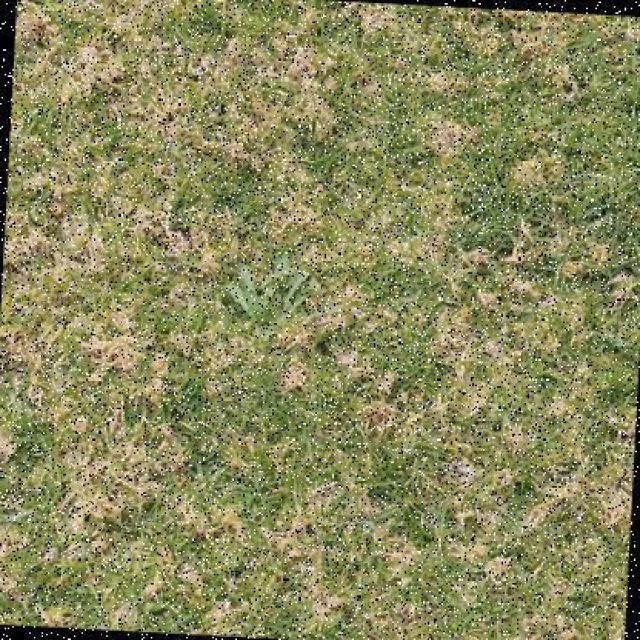 Weed Detection Object Detection Dataset By Loki