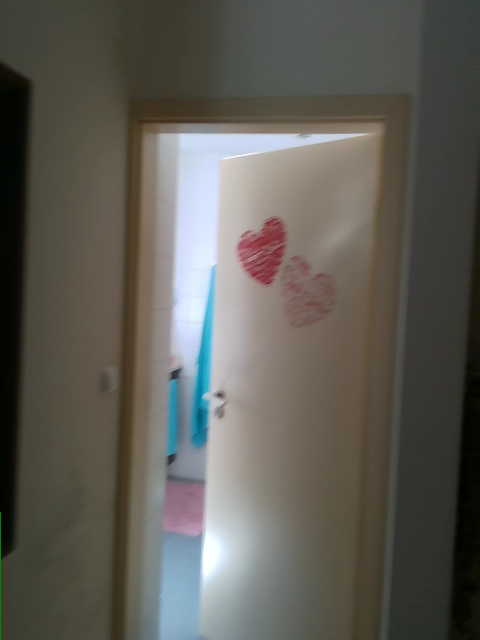 door Object Detection Dataset and Pre-Trained Model by project-mxxgy