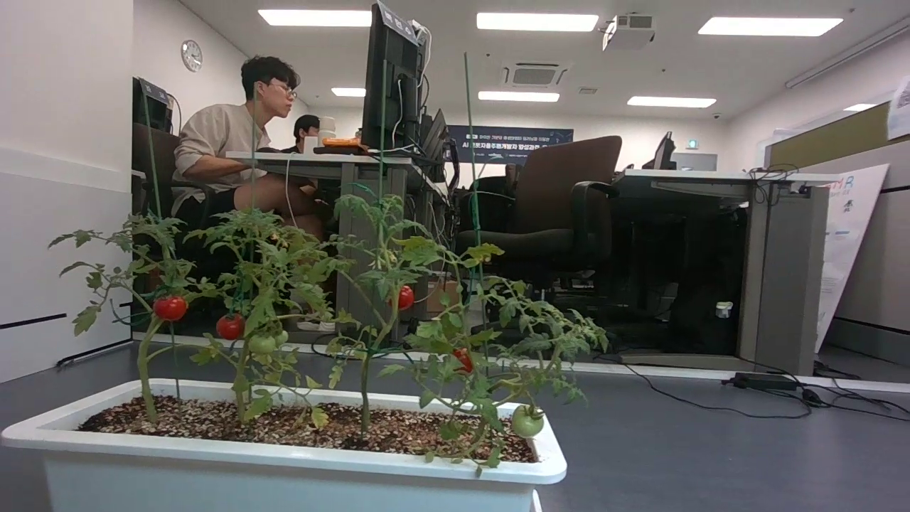 local_tomato Object Detection Dataset and Pre-Trained Model by localtomato