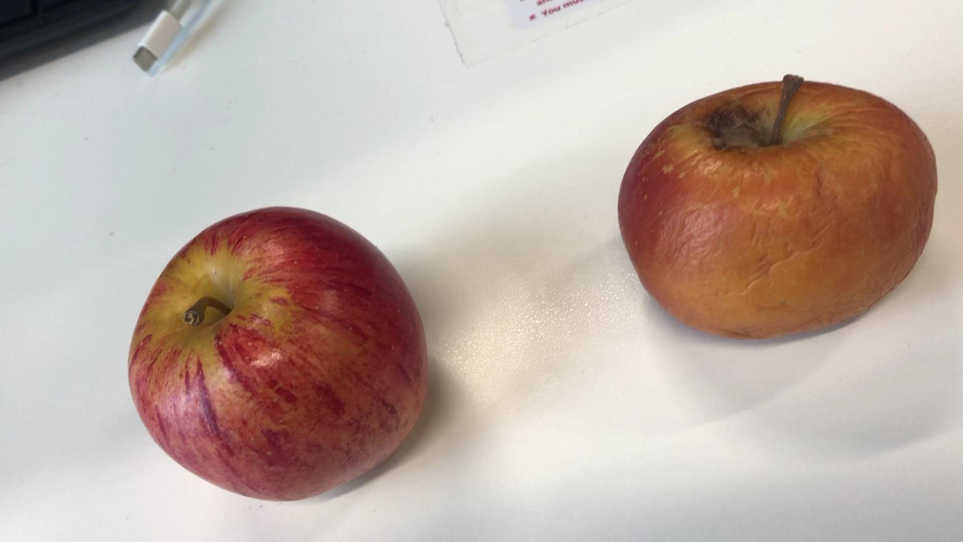 Apple Ripeness Detection Object Detection Dataset By Test1fruitrec