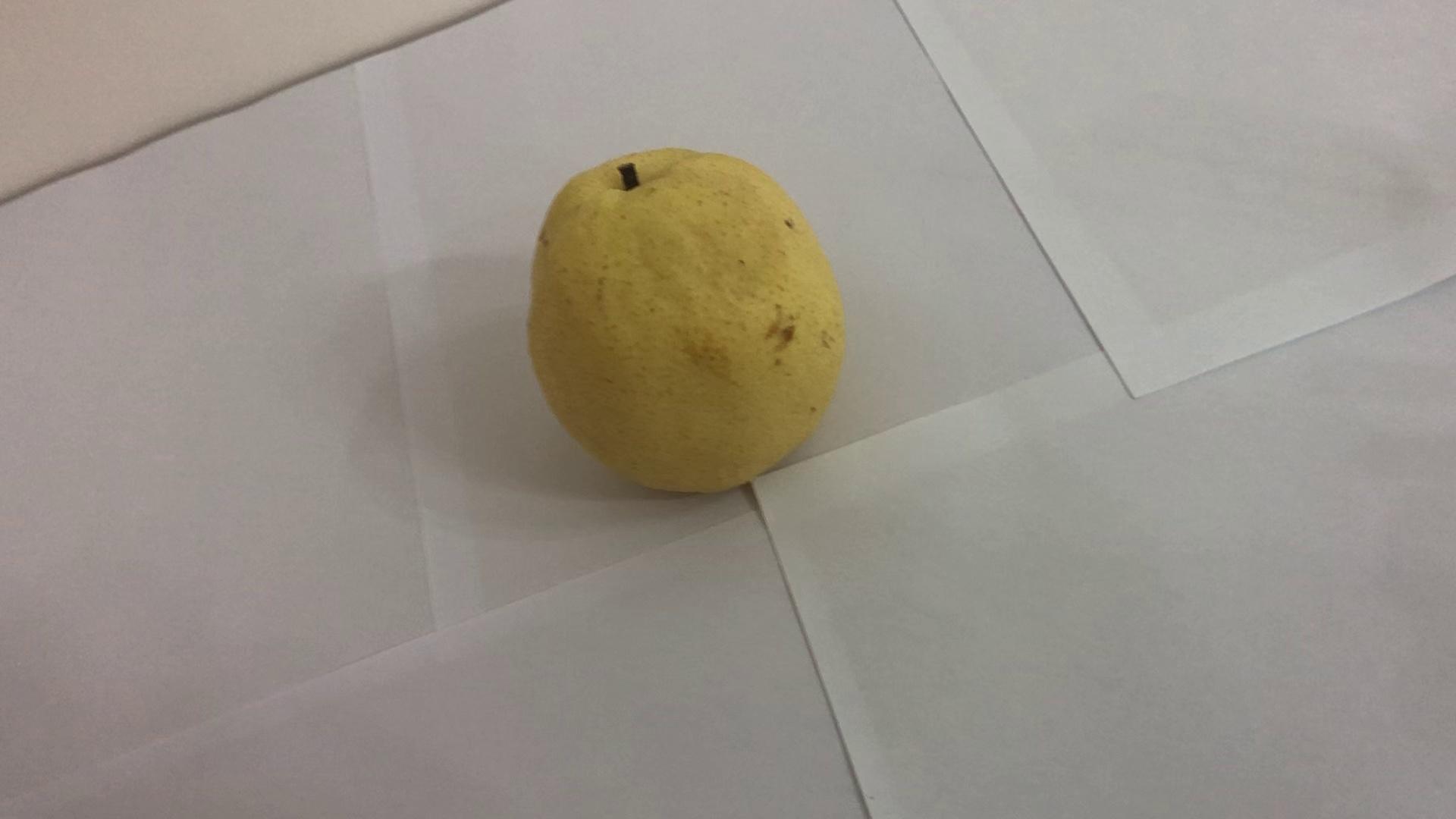 Fruit Ripeness Detection Object Detection Dataset And Pre Trained Model