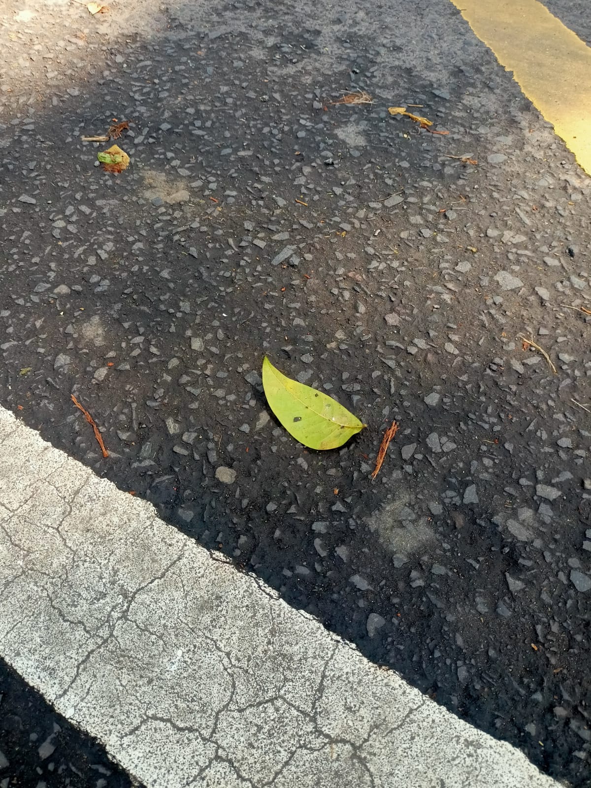 MB Final Final Object Detection Dataset by My den