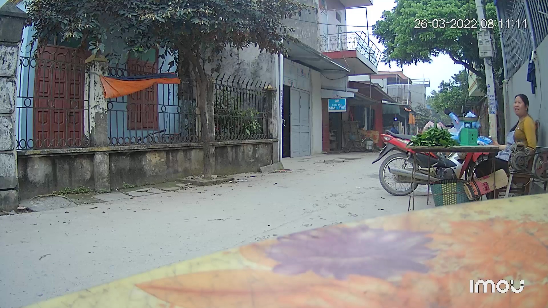 human_detection Object Detection Model by shivam