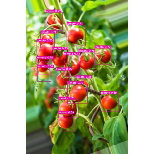 tomato count Object Detection Model by RDS