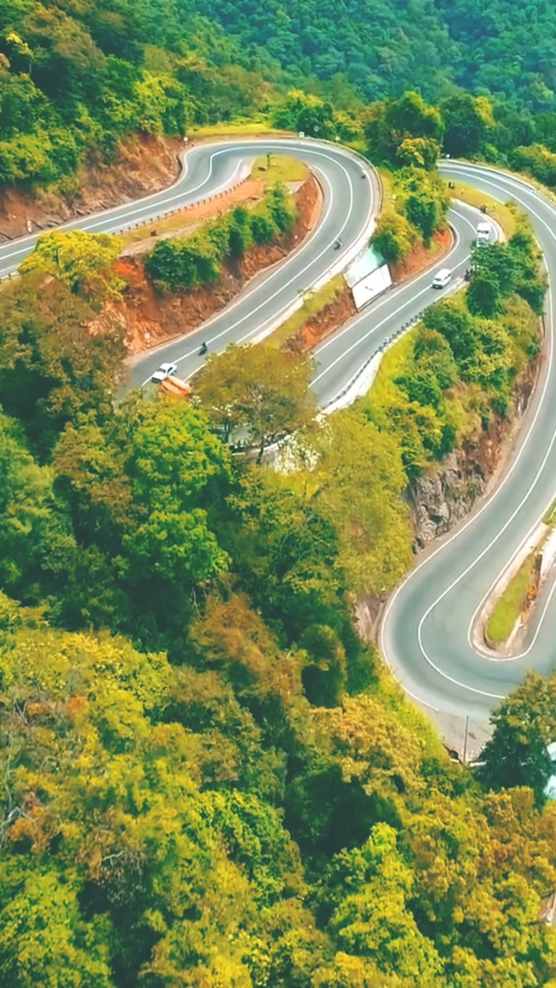 How To Use The Vechicles Detection Object Detection Api