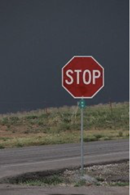 speed signs detection Object Detection Model by custom yolo