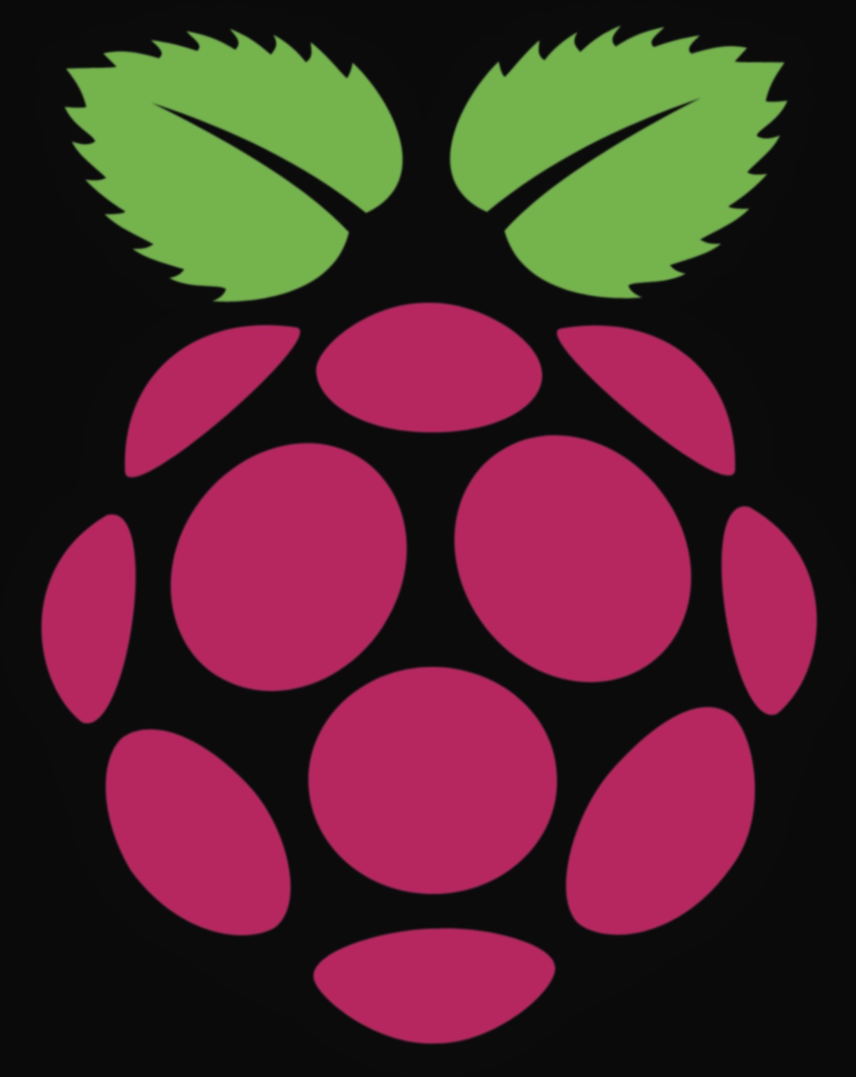 raspberry-logo 1 Object Detection Dataset by OPTI PI