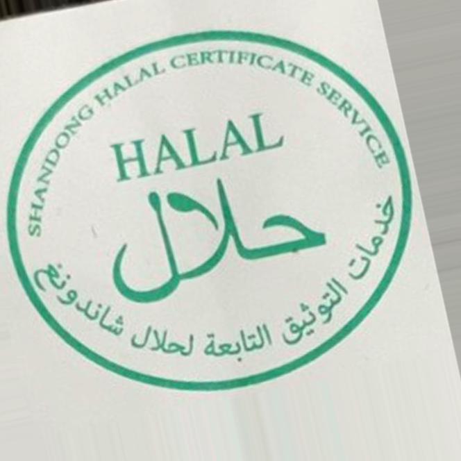 cert_check Object Detection Dataset and Pre-Trained Model by Data