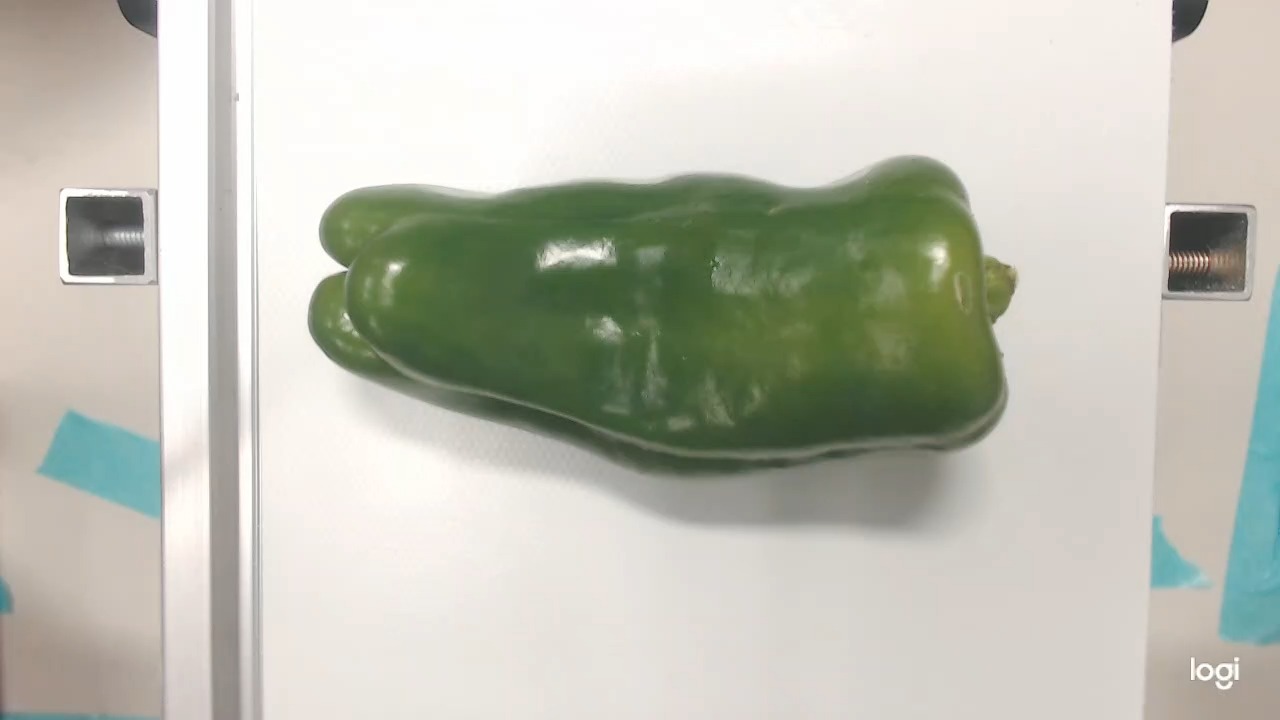 Bell pepper Object Detection Model (v3, 2025-09-29 2:30pm) by hiro