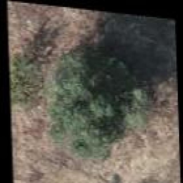 MRCNN Instance Segmentation Dataset by asd