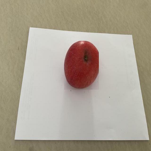 apple Object Detection Dataset by class