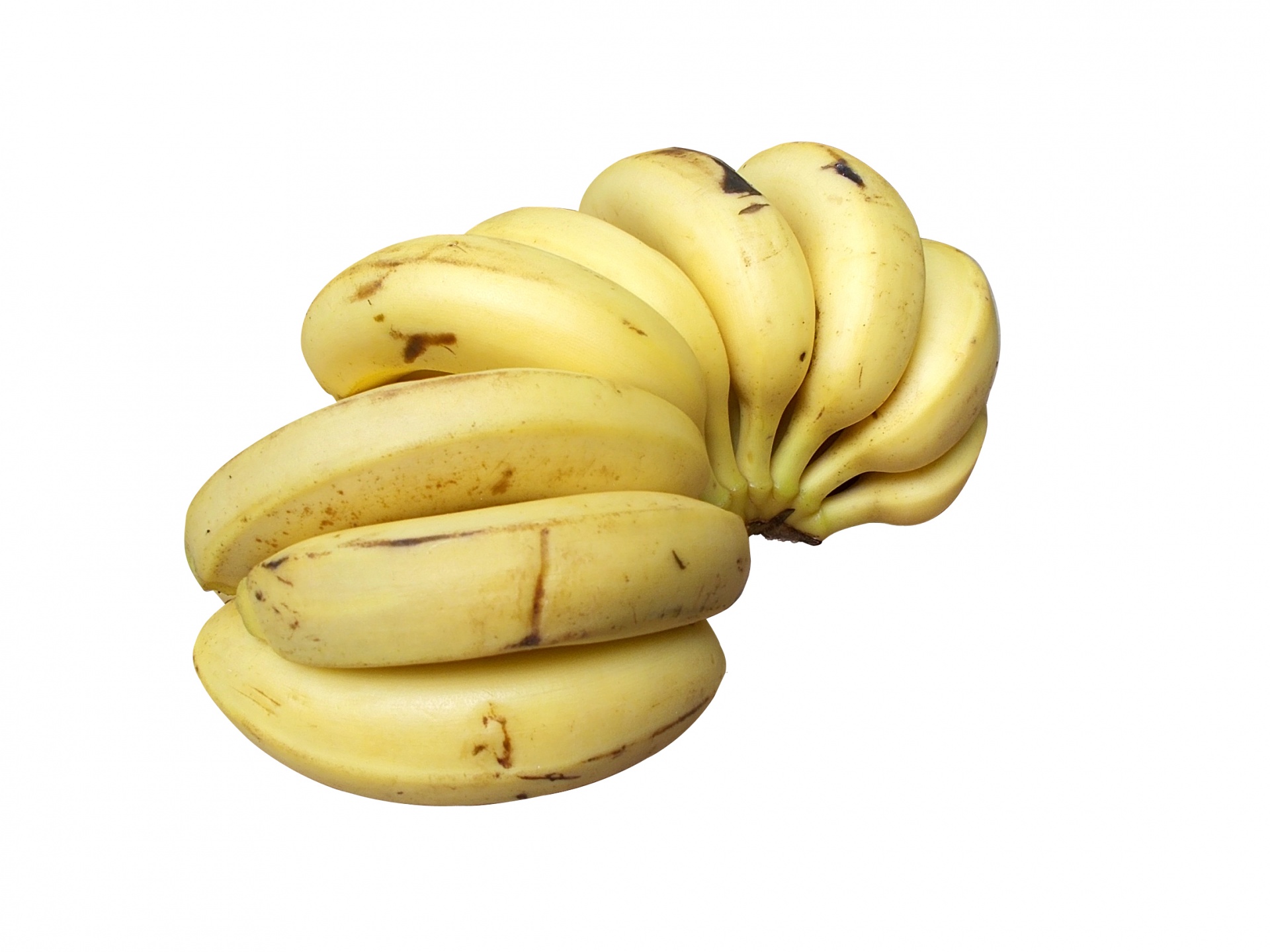 Fruit Detection Object Detection Model By Fruit Detection