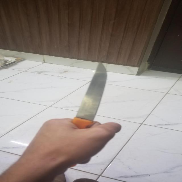 knife-detection Object Detection Dataset and Pre-Trained Model by SDD