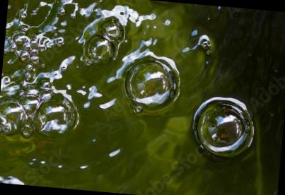 Bubble Detection Instance Segmentation Model by bubb