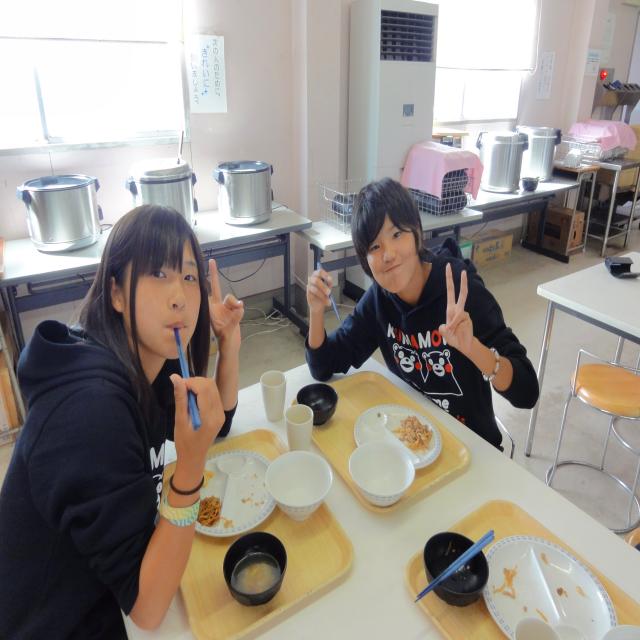 fin Object Detection Dataset by siken1