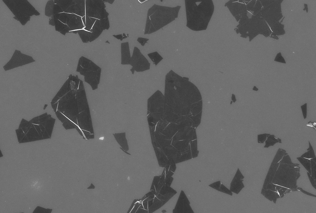 flakes Instance Segmentation Dataset by University of Manchester