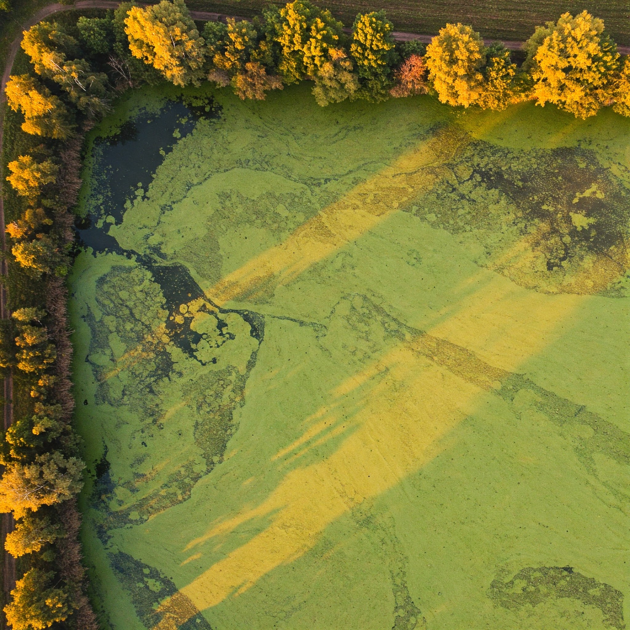 My First Project Instance Segmentation Dataset and Pre-Trained Model by WaterScan