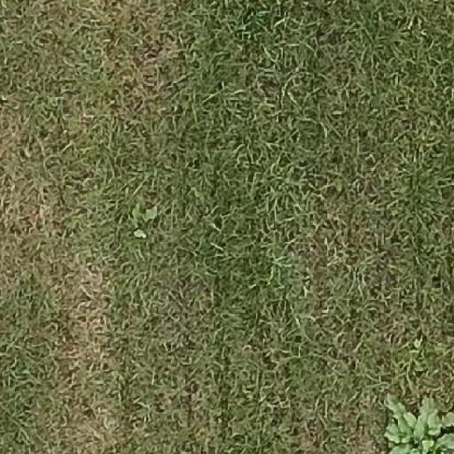 Weed Detection2 Object Detection Dataset And Pre Trained Model By