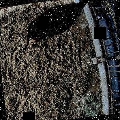 cow Object Detection Dataset and Pre-Trained Model by Jan