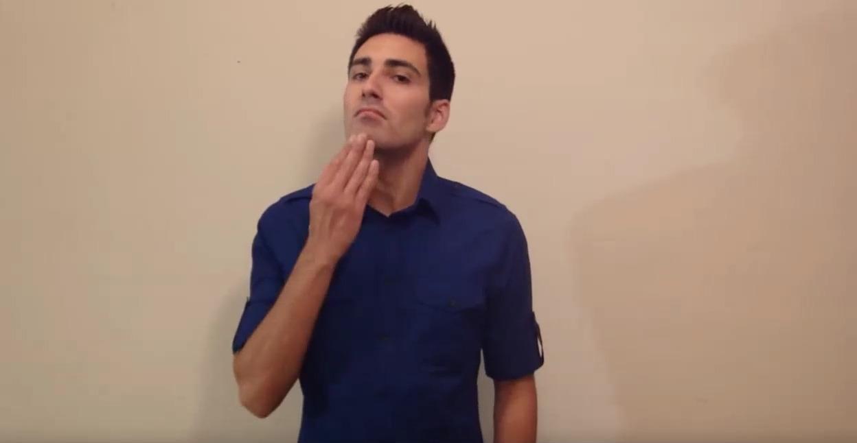 asl Object Detection Dataset and Pre-Trained Model by baha