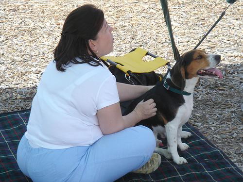 dogs_beagle Object Detection Dataset by Beta01