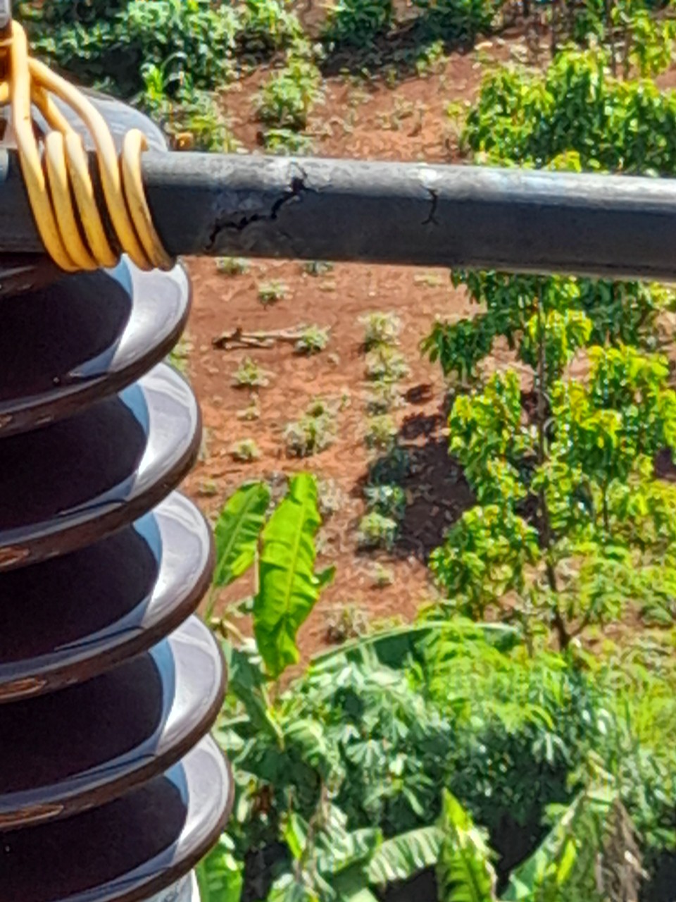 ddan_tt_mon Object Detection Dataset by ChuPuh