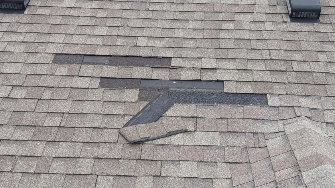 roof-wind-damage Object Detection Model by deldetect