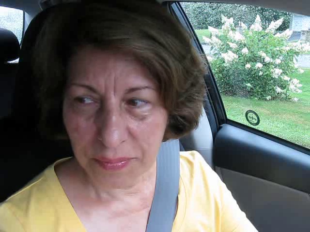 Finalyearproject Yolo Object Detection Dataset And Pre Trained Model By Clement Workspace