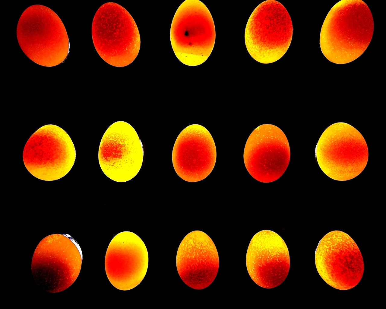 EGG Object Detection Dataset by RNBTHESIS