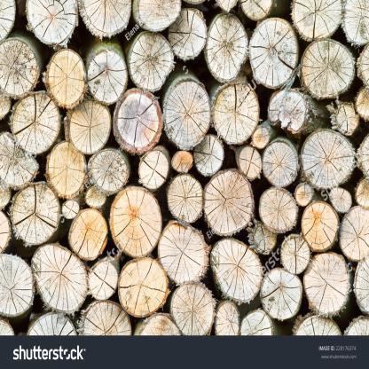 Log_Count_Object_Detection Object Detection Dataset by DaemonAI