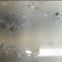 Sediment Tracking - Roboflow Universe