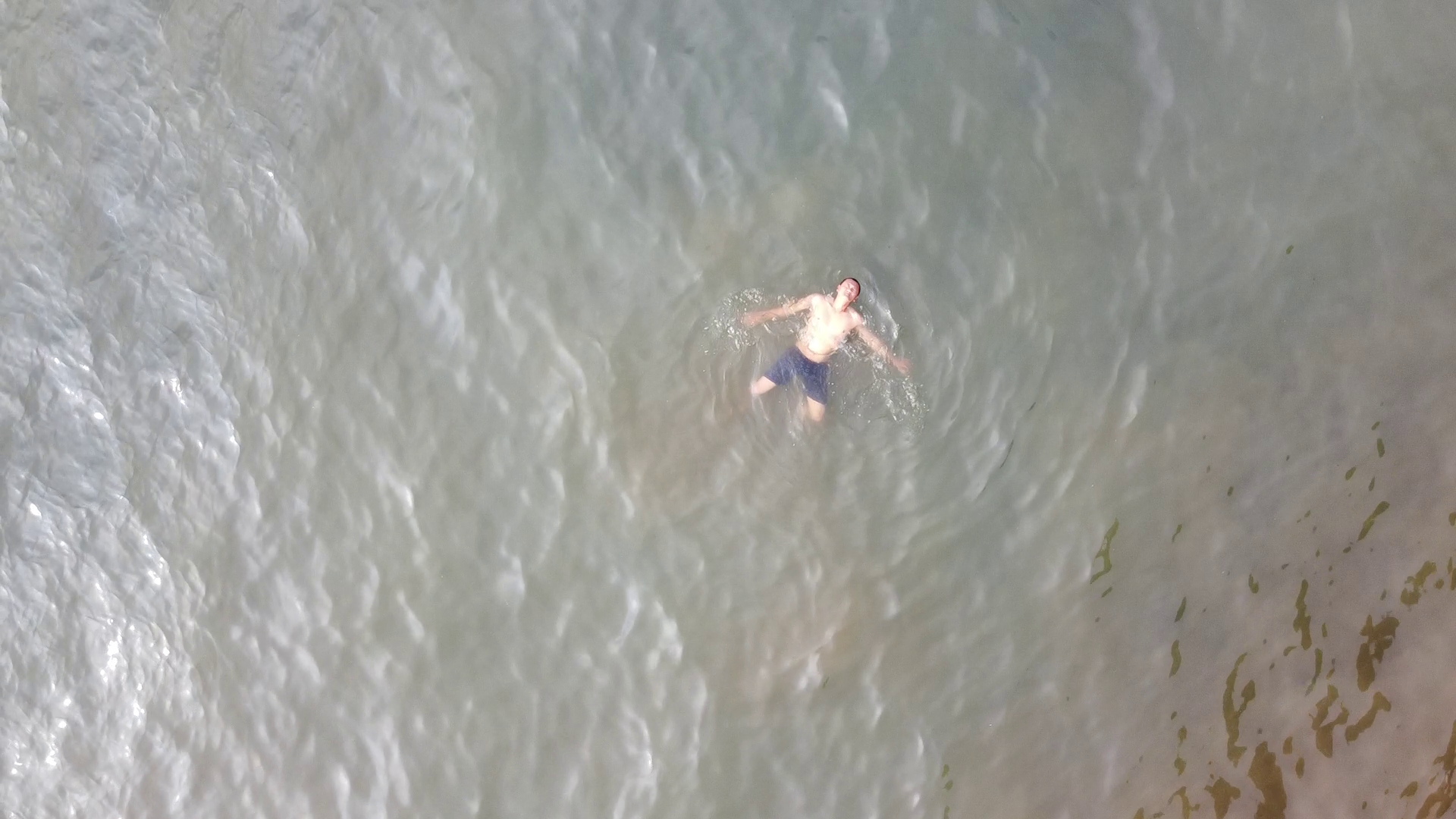 Drowning Position 2 Object Detection Dataset and Pre-Trained Model by ...