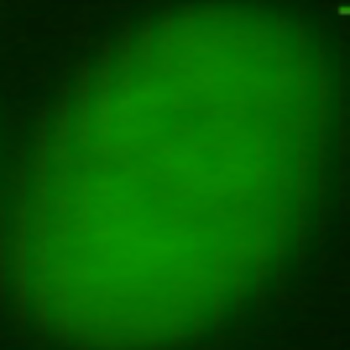 altay Object Detection Model by Ahmet Altay